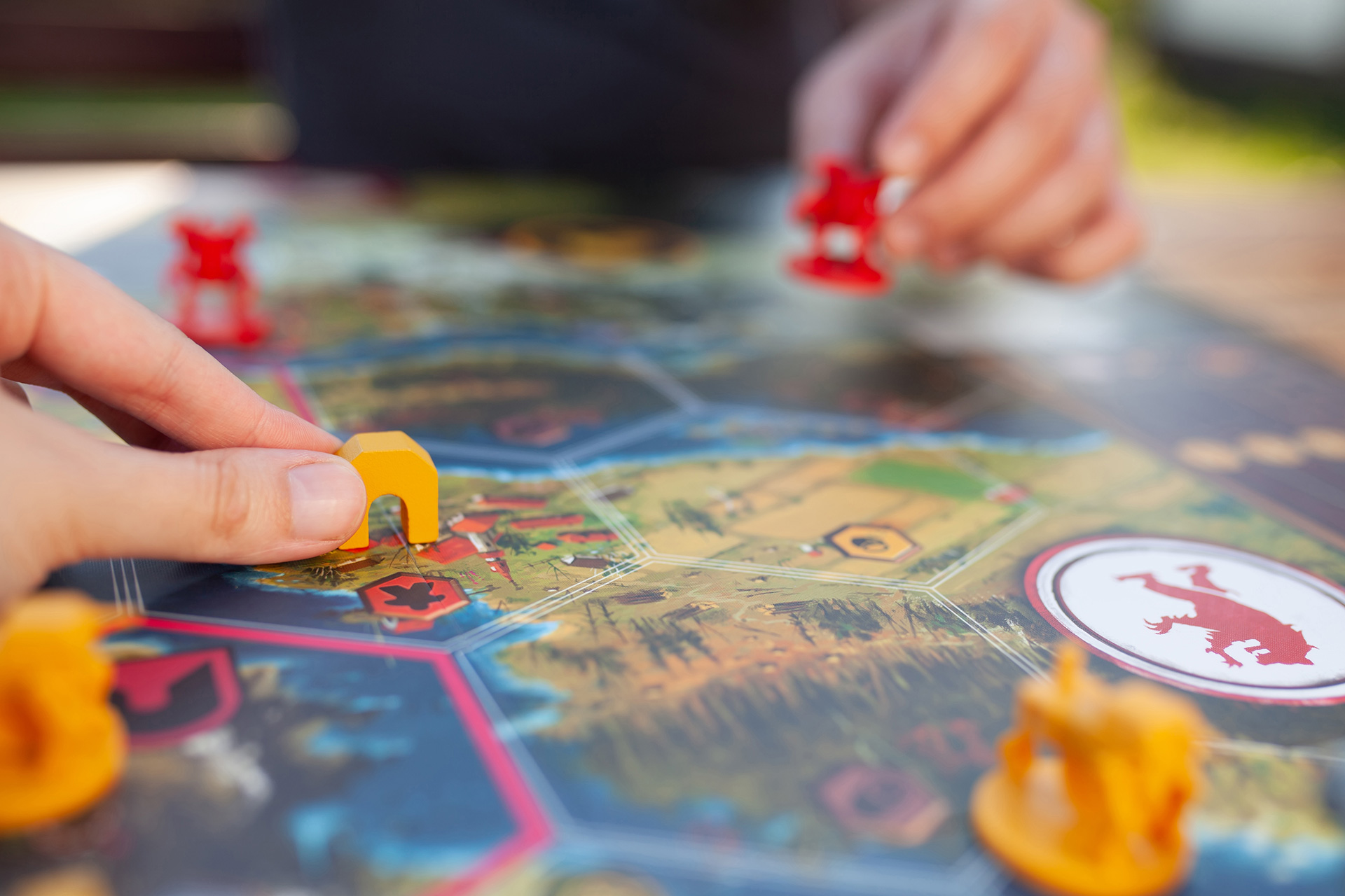 Faire société : analyse des pratiques du jeu de société en animation et ...