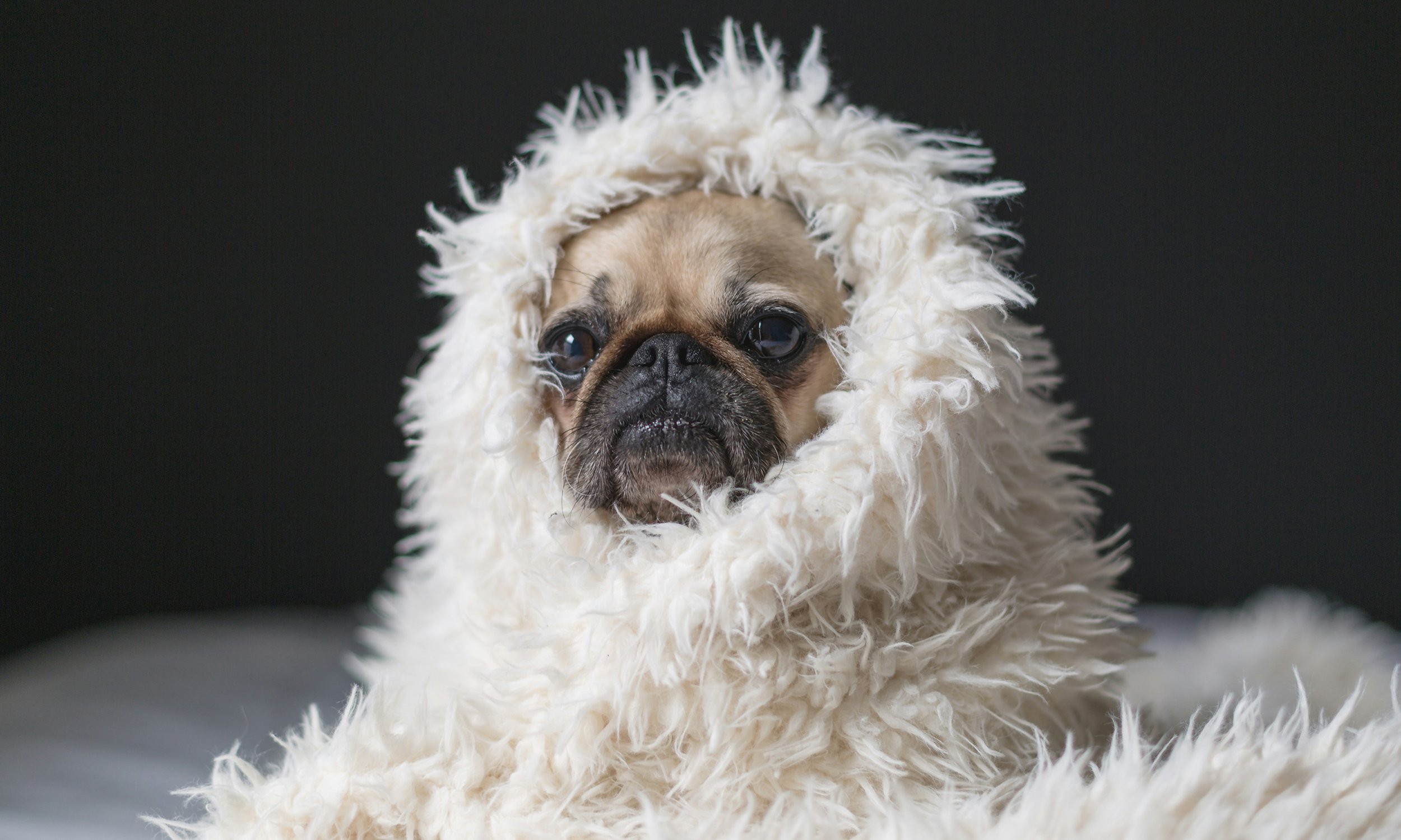 Stay Warm with These Games All About Winter’s Chill