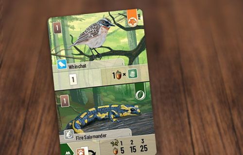 Forest Shuffle - Exclusive Cards - hobbynext.com